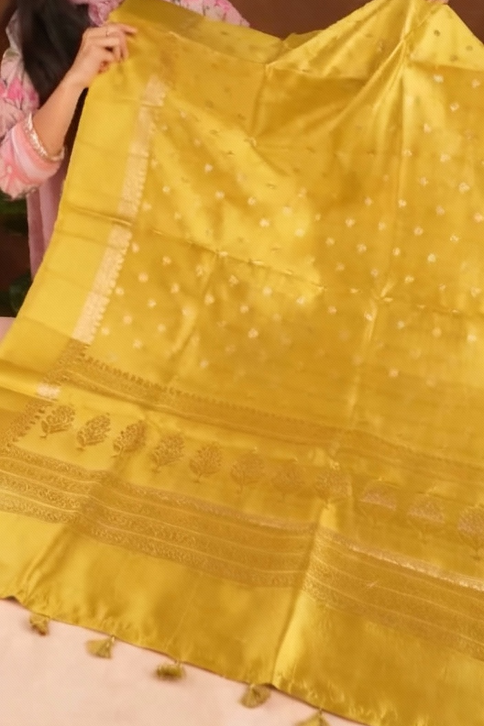 Pasupu Kanthi Silk Saree – zoyaclothing